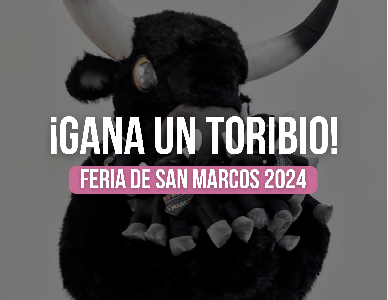 Gana un peluche de Toribio FNSM2024 - Feria San Marcos